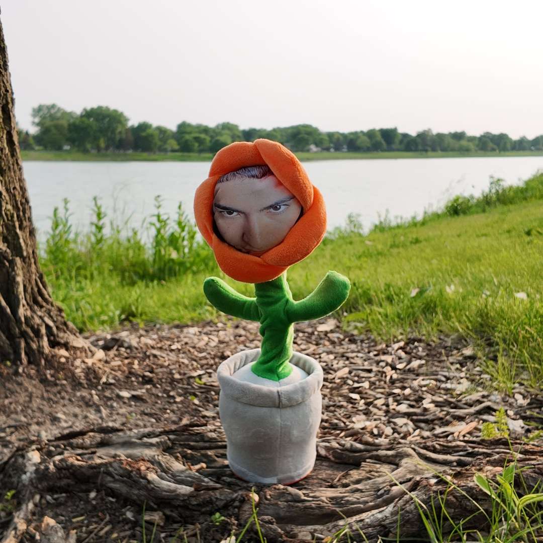 Custom Flower Face | Your Face on a Dancing Flower | The Ultimate Funn